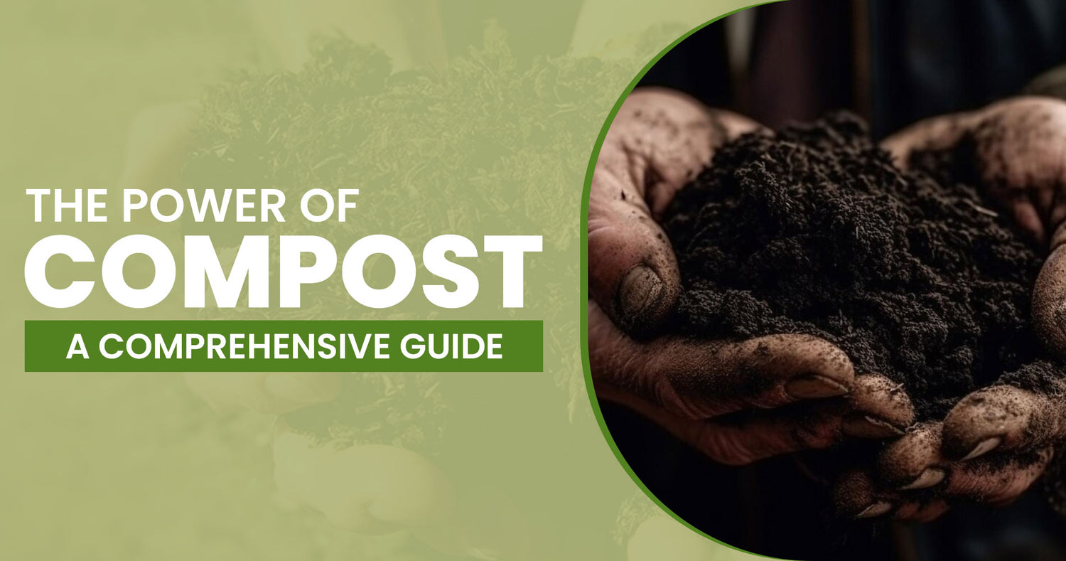 Use the Power of Compost to Grow Greener | BGreen Today